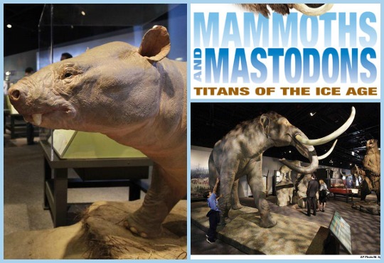 Enjoy Mammoth Sized Fun at the Space and Rocket Center