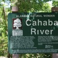 Old Cahawba - Alabama’s Capital Ghost Town | We Are Huntsville