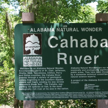 Old Cahawba - Alabama’s Capital Ghost Town | We Are Huntsville