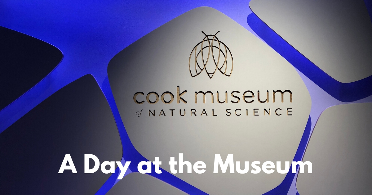 The Cook Museum of Natural Science | We Are Huntsville