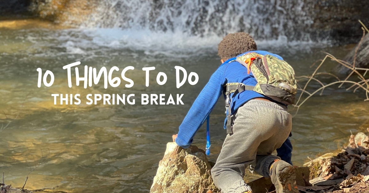 10 Things To Do For Spring Break in Huntsville | We Are Huntsville
