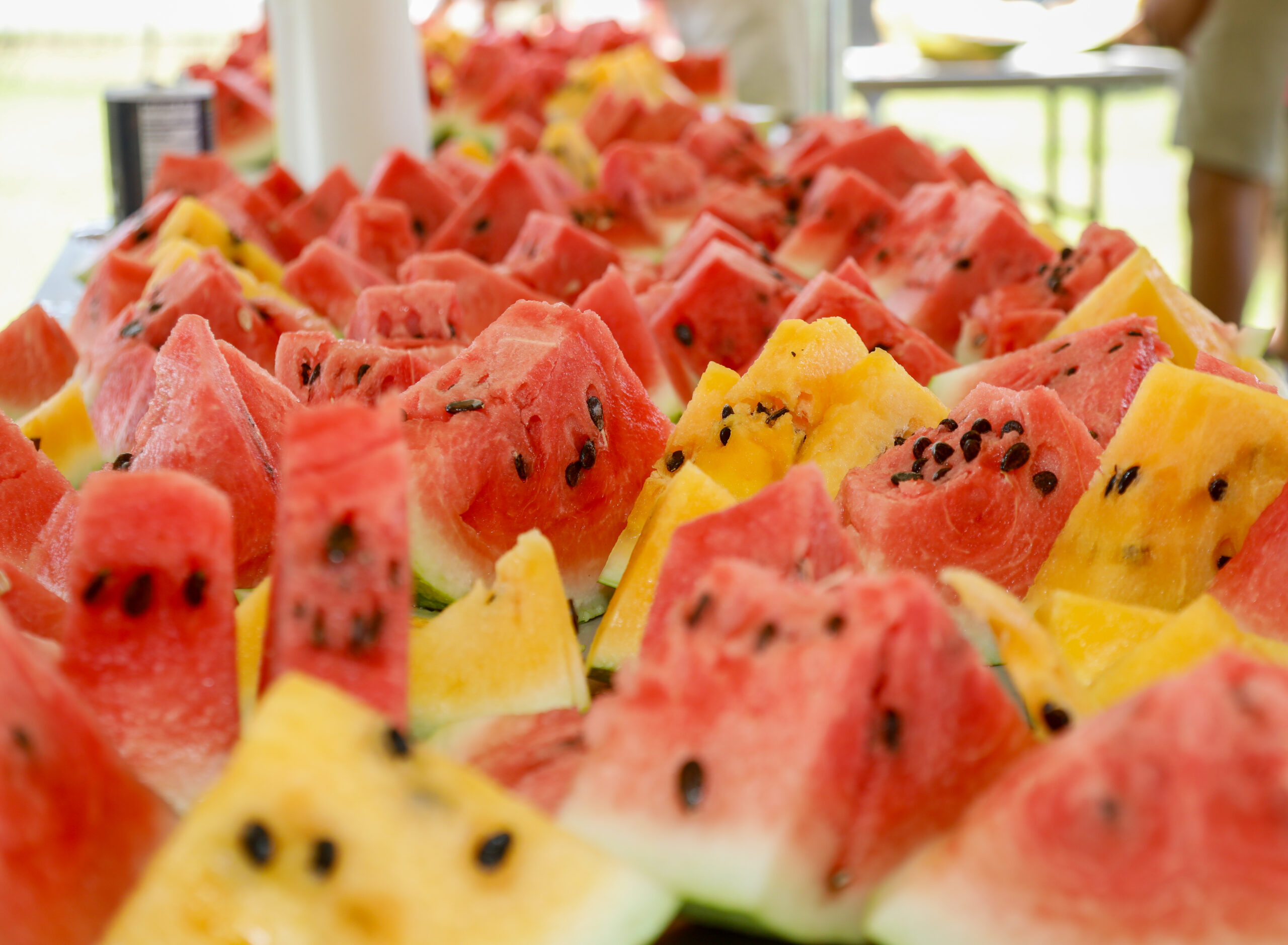 North Alabama Spring & Summer Festivals | We Are Huntsville