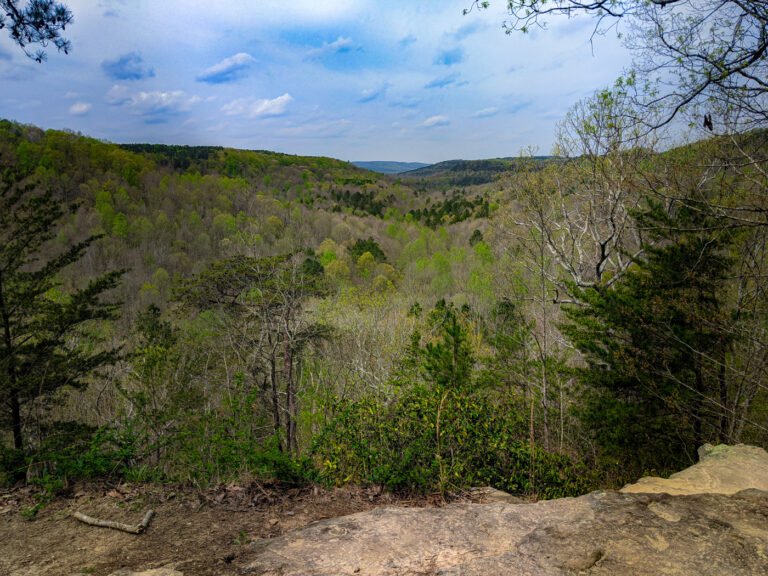 North Alabama Views | We Are Huntsville